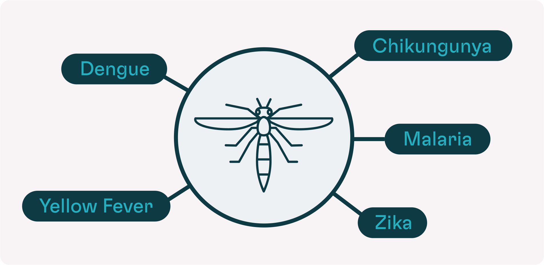 Mosquito-borne viruses in the Americas
